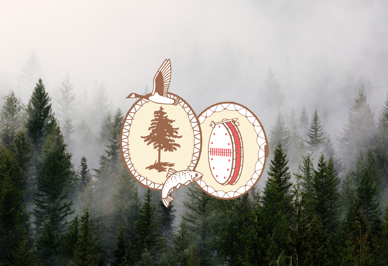 Cree Nation Government Strongly Supports Canada’s Tabling of UNDRIP ...